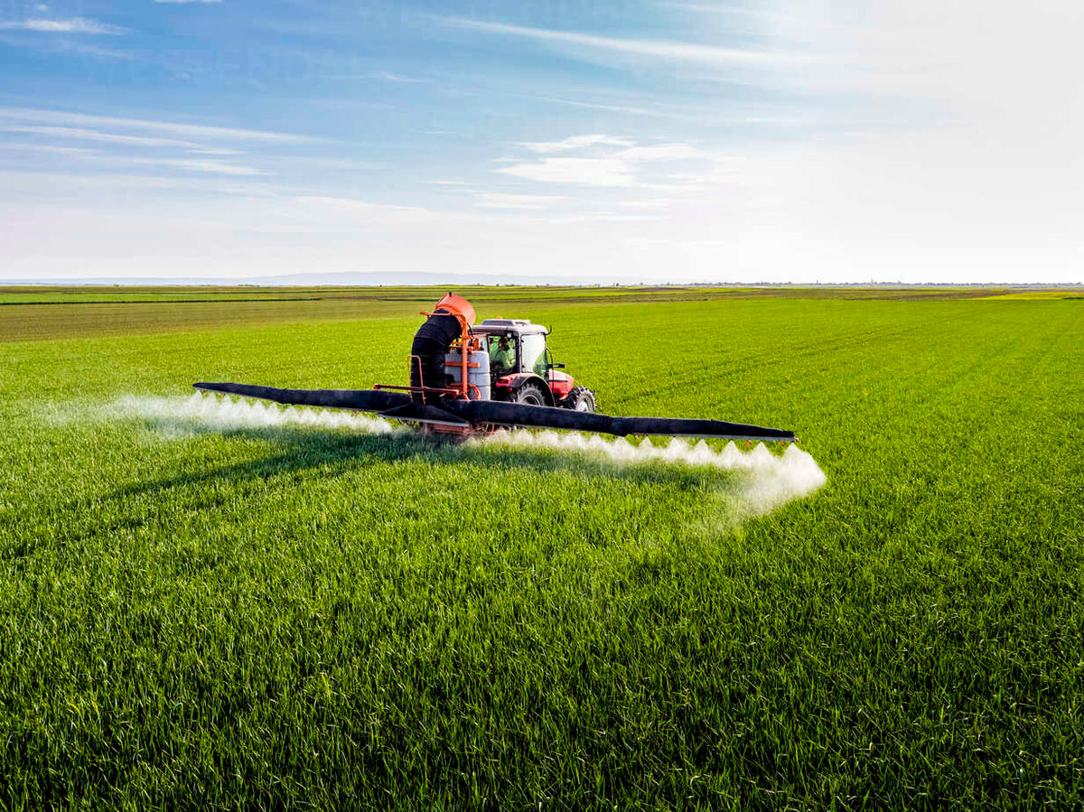 The Truth About Glyphosate: What You Need to Know – ChiChi Foods